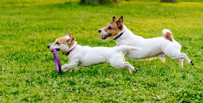 Stonham Barns Holiday Park - Suffolk